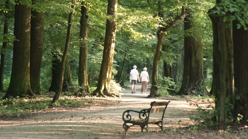 An Elderly Couple Walks Down A Forested Path Holding Hands Stock