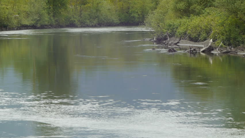 Slow Moving River In Pacific Northwest Stock Footage Video 1194418 ...