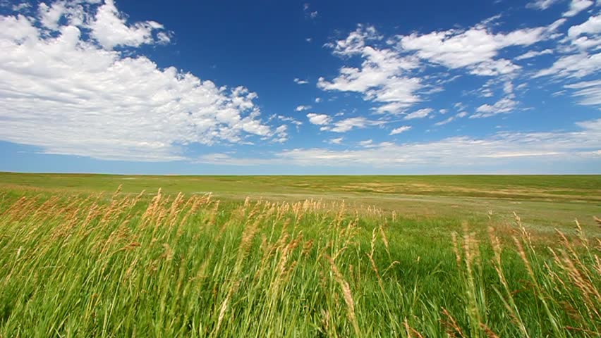 South Dakota Prairie Scenery Stock Footage Video 3176608 - Shutterstock
