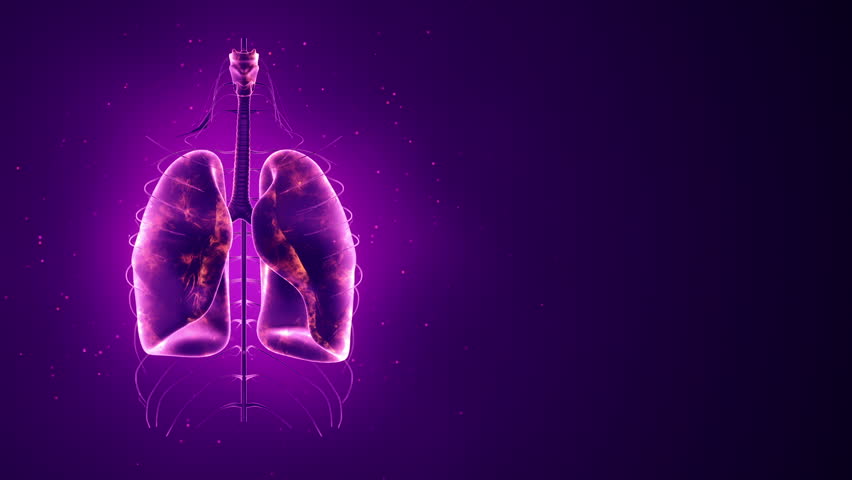 Emphysema Stock Footage Video - Shutterstock