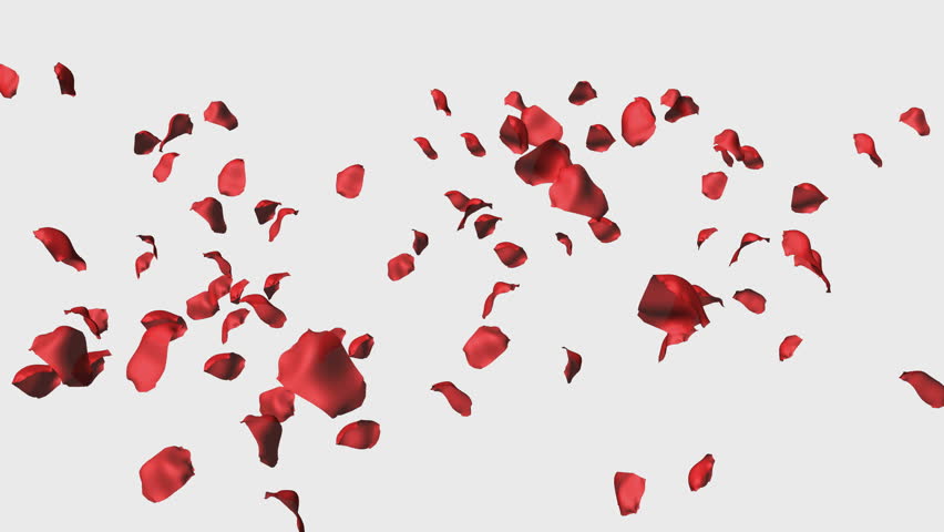 Falling Roses - Looped 3d Animation Stock Footage Video 699577 ...