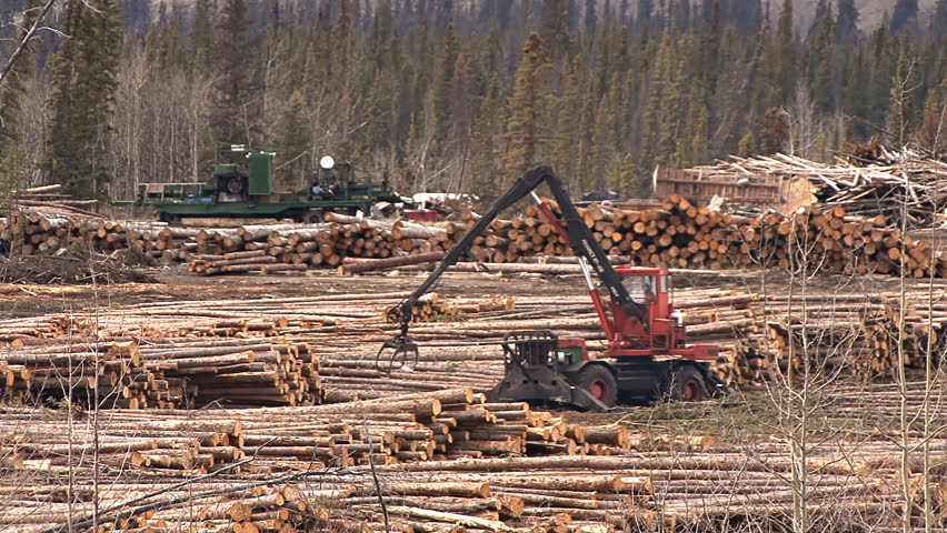 BRITISH COLUMBIA, CANADA - CIRCA 2012: A Yarder Works To Rearrange Logs ...