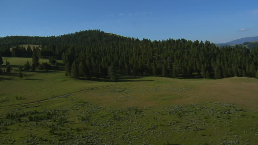 Meadow Aerial