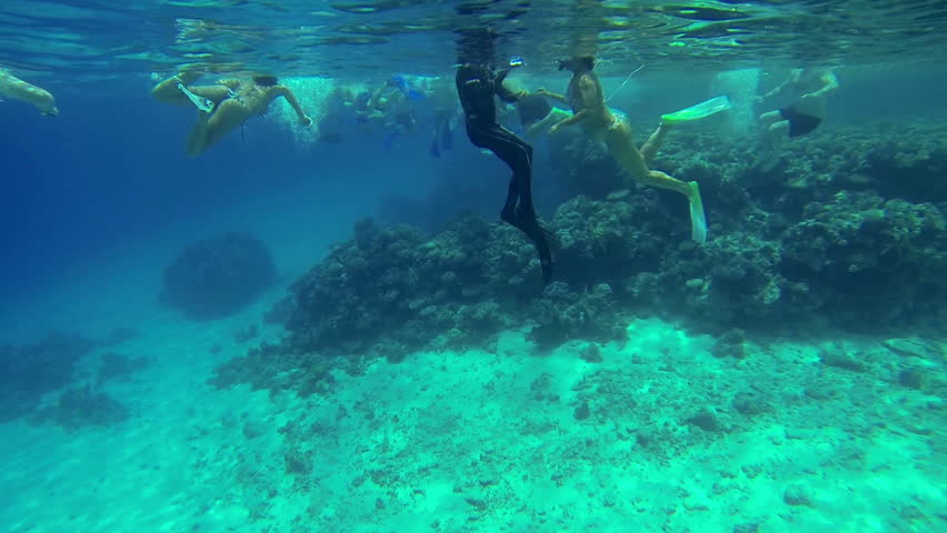 Person Swimming Underwater In Ocean