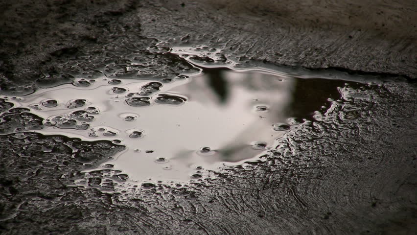 Small Puddle Stock Footage Video 469729 - Shutterstock