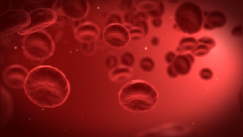 Red Blood Cell. Stock Footage Video 491557 - Shutterstock