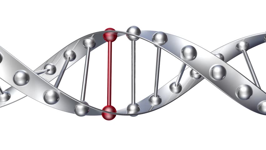 DNA Structure In Horizontal Rotation Stock Footage Video 5665310 ...