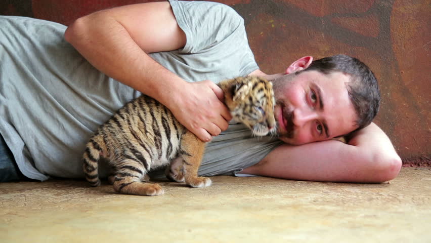 People With Tiger Temple Stock Footage Video 6943876 - Shutterstock