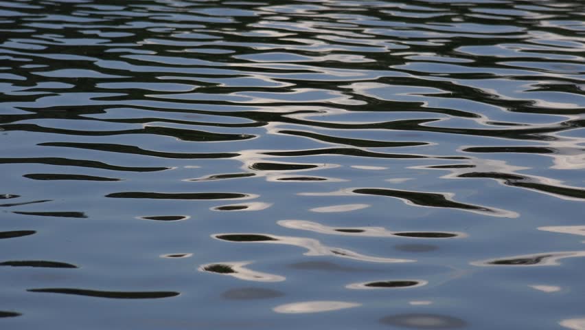 Water Ripples On Lake - Natural Motion Background Stock Footage Video ...