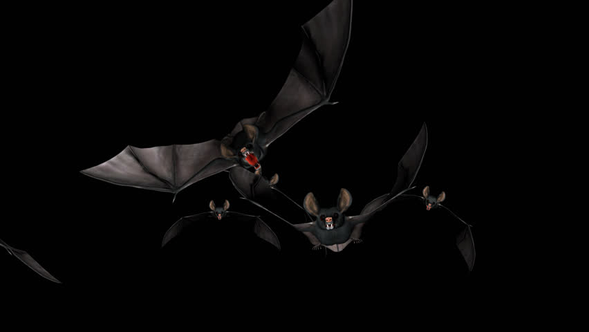 Bat Swarm - Front Flying Transition 2 - Alpha Channel - Aggressive ...
