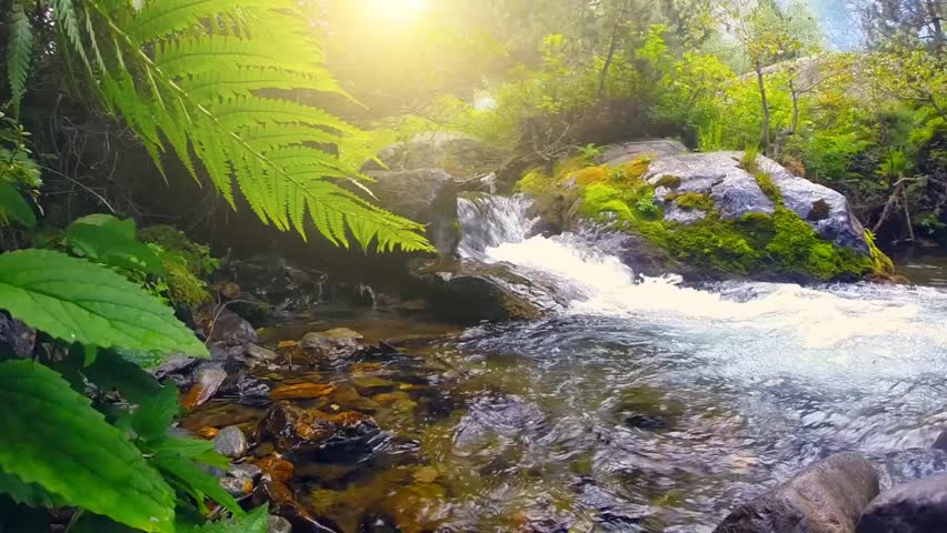 Beautiful Mountain River In The Forest. River With Fresh Water Flows ...
