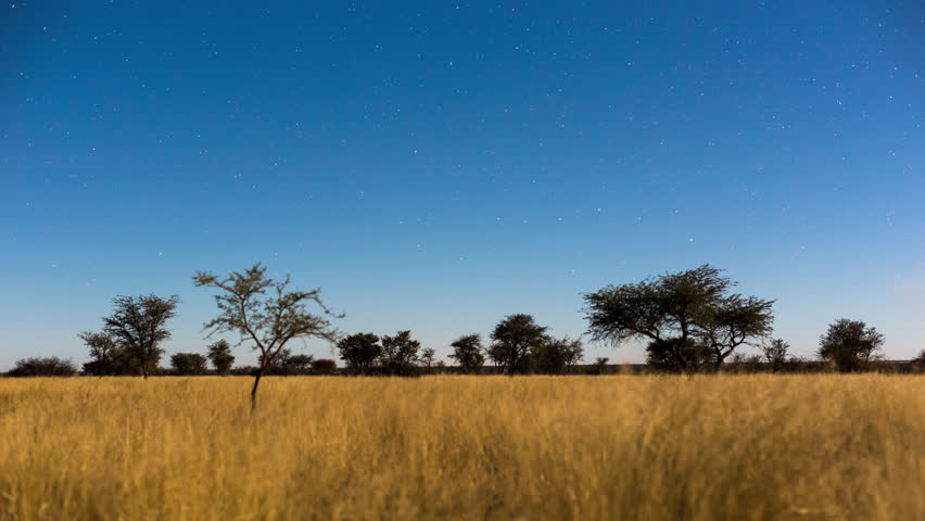 Bushveld Stock Footage Video - Shutterstock